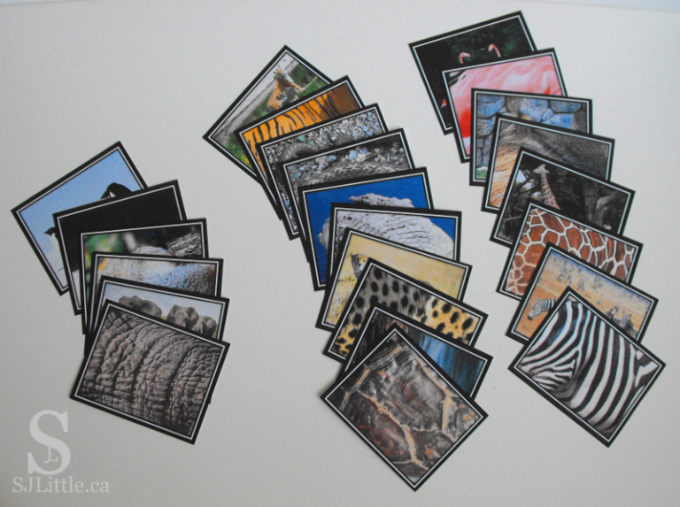 Animal Skin Matching Game - Free printout