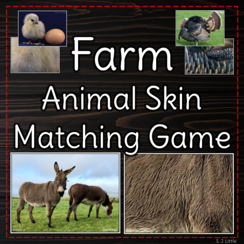 Animal Skin Matching Game - Free printout