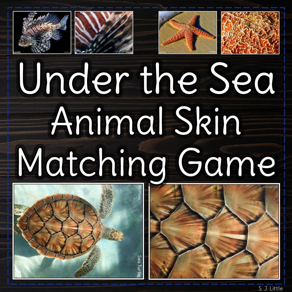 Animal Skin Matching Game - Free printout