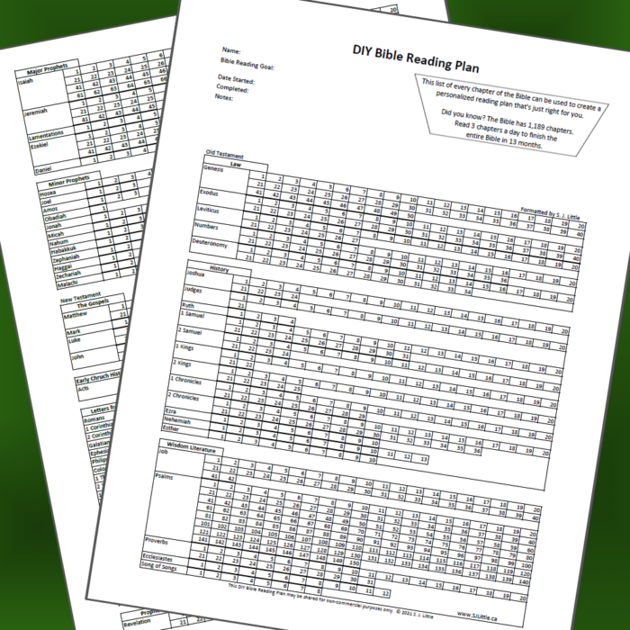 DIY Bible Reading Plan - Free Printable PDF