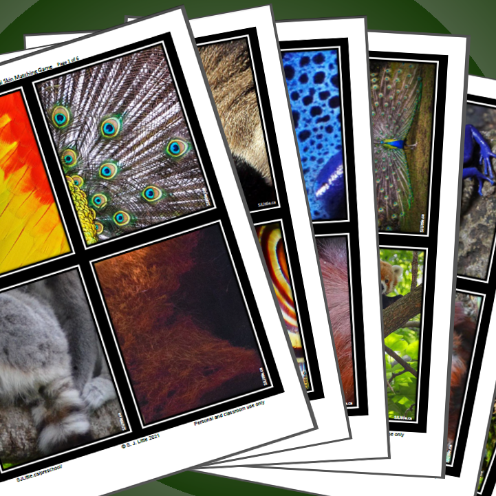 Animal Skin Matching Game - Free printout