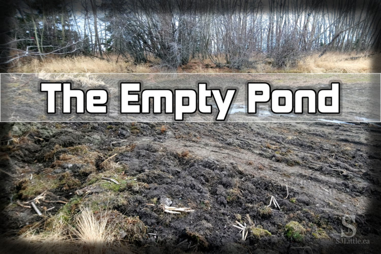 The Empty Pond - Increasing Capacity for God