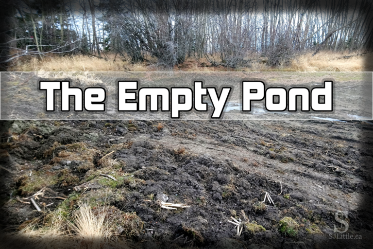 The Empty Pond - Increasing Capacity for God