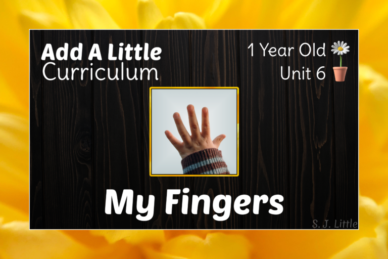 My Fingers - Curriculum for 1 Year Olds - Add A Little